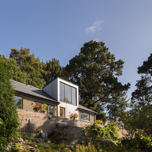 Trees - Tim Offer Architect